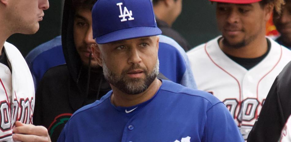 Plácido Polanco, Díaz, Cuevas y Vizcaíno entre nuevos coaches de los Leones del Escogido