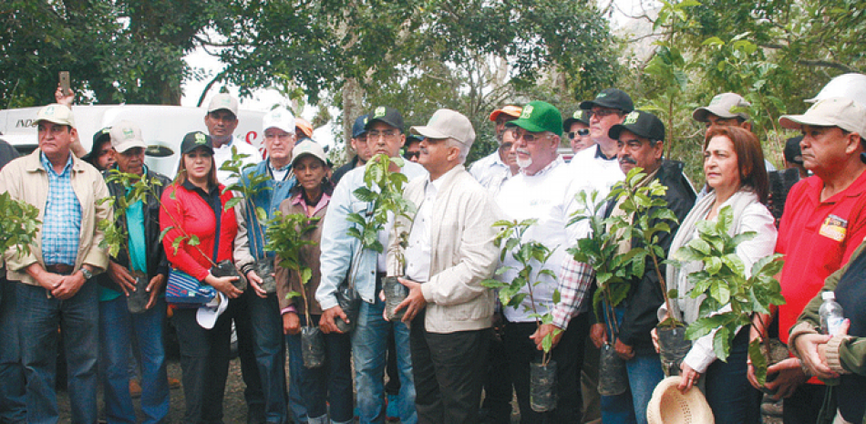 Banilejos reforestan la loma El Manaclar