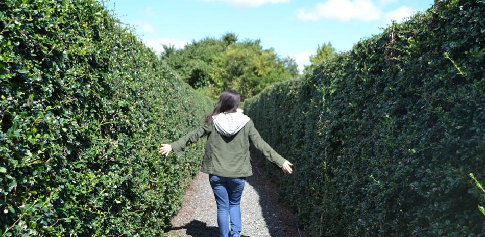 El laberinto verde de la Cueva de las Maravillas