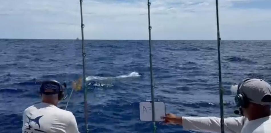 Arranca la pesca al Marlin Blanco; equipo Plaza San Juan sale al frente