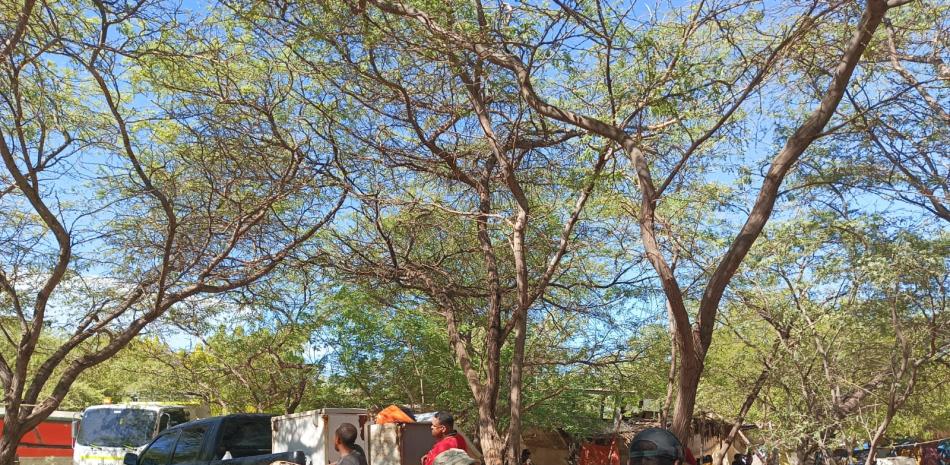 Desalojan pescadores de la playa "La Chencha" en Cabo Rojo