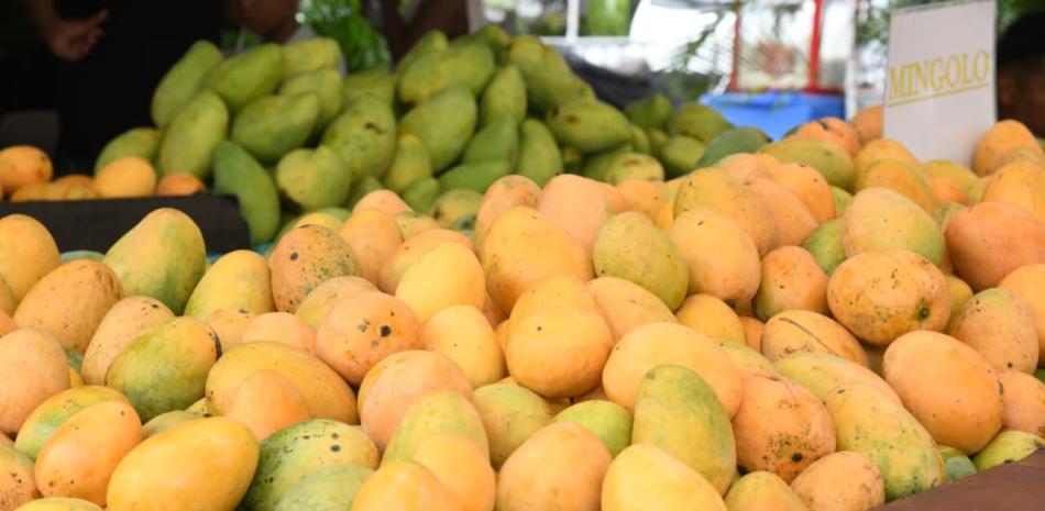 Mango Mingolo lidera la Expo Mango en Baní por su éxito comercial