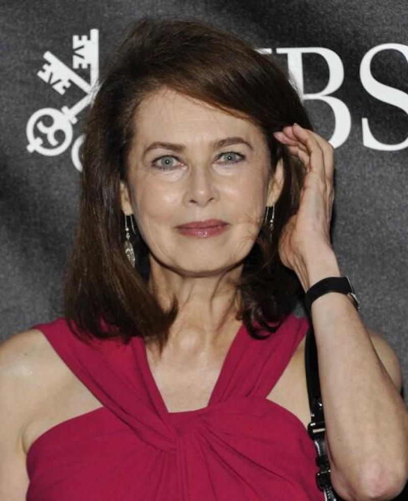 La modelo pionera Dayle Haddon muere por presunta intoxicación por ...