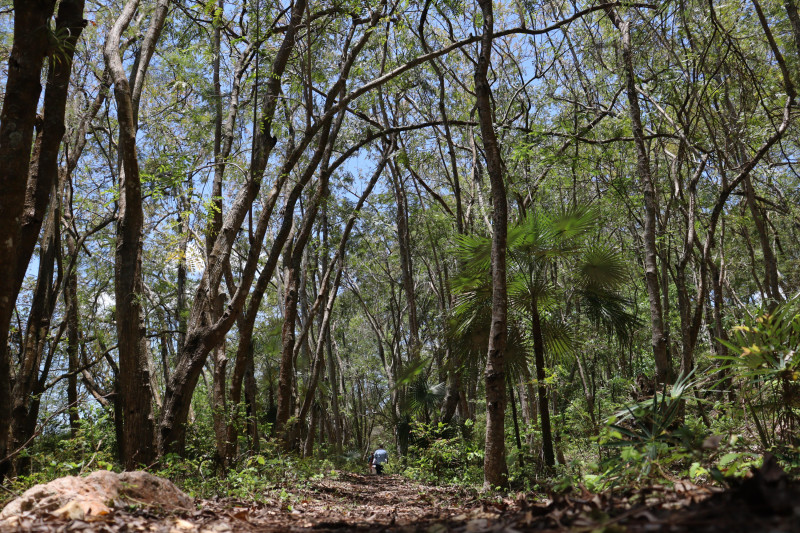 Cuevas del Pomier, un espectáculo majestuoso