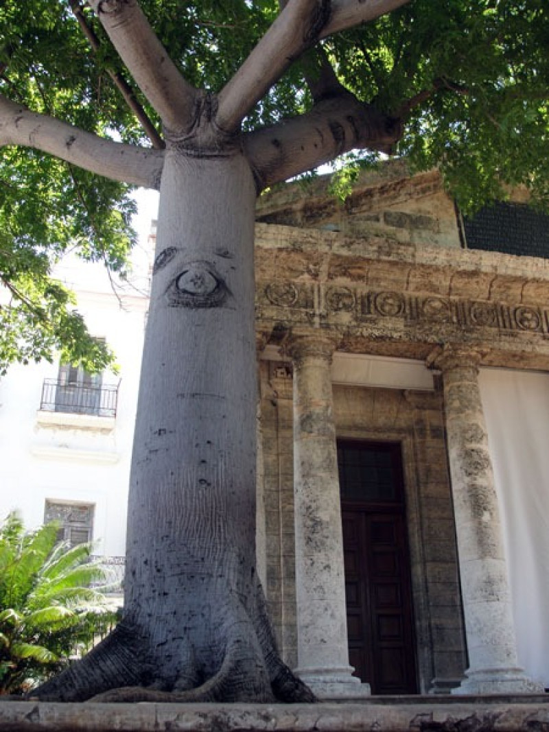 La Ceiba