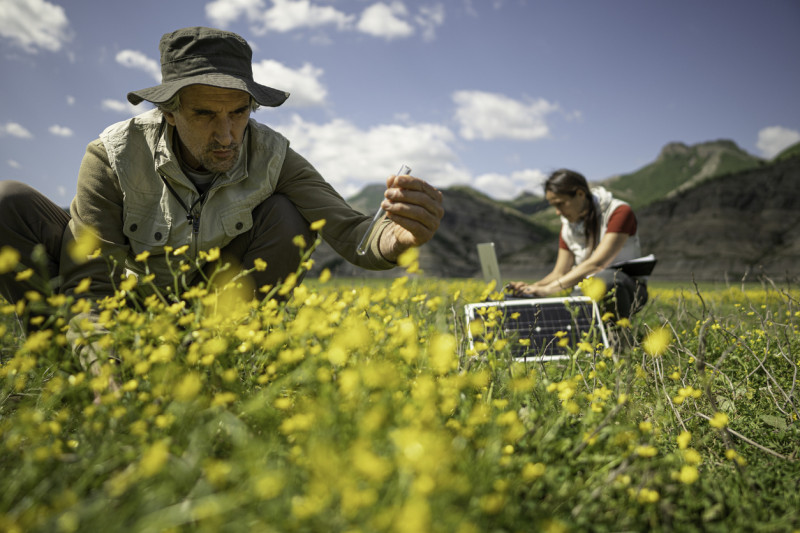 Pérdida de biodiversidad supone un riesgo para la economía