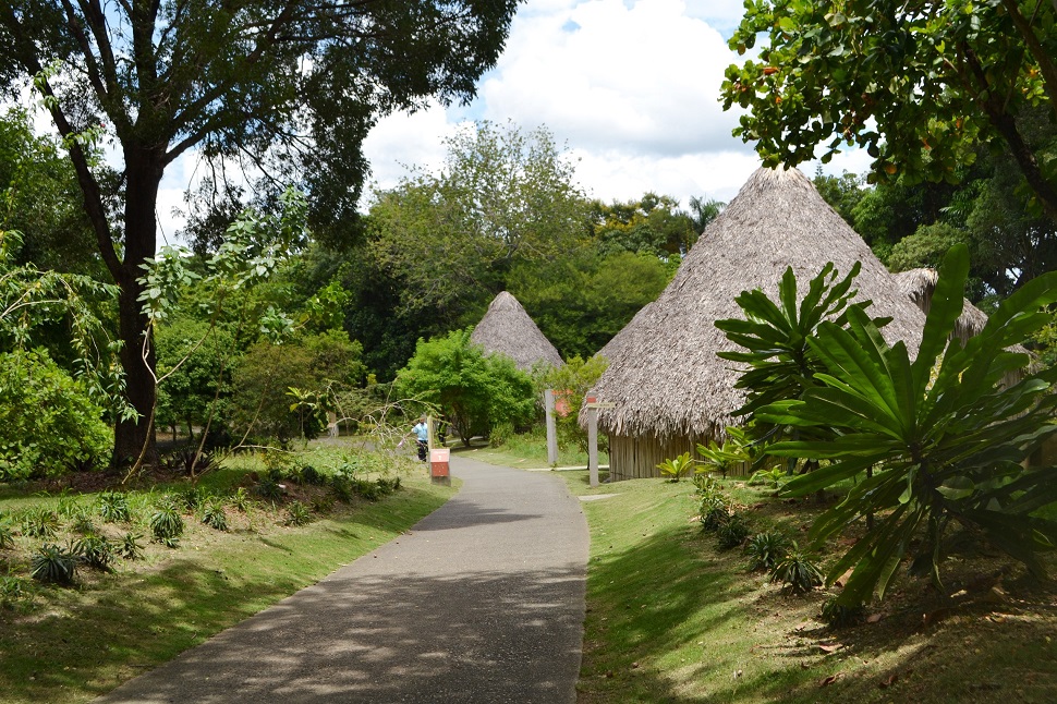 Jardín Botánico Nacional: patrimonio natural, científico y cultural ...