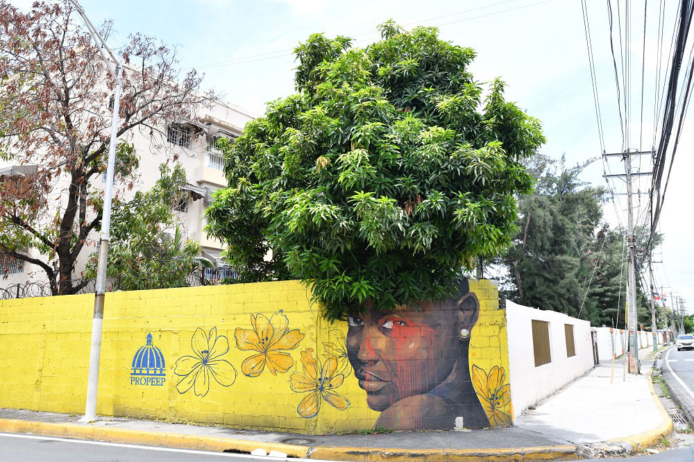 El arte urbano: Murales que embellecen la ciudad