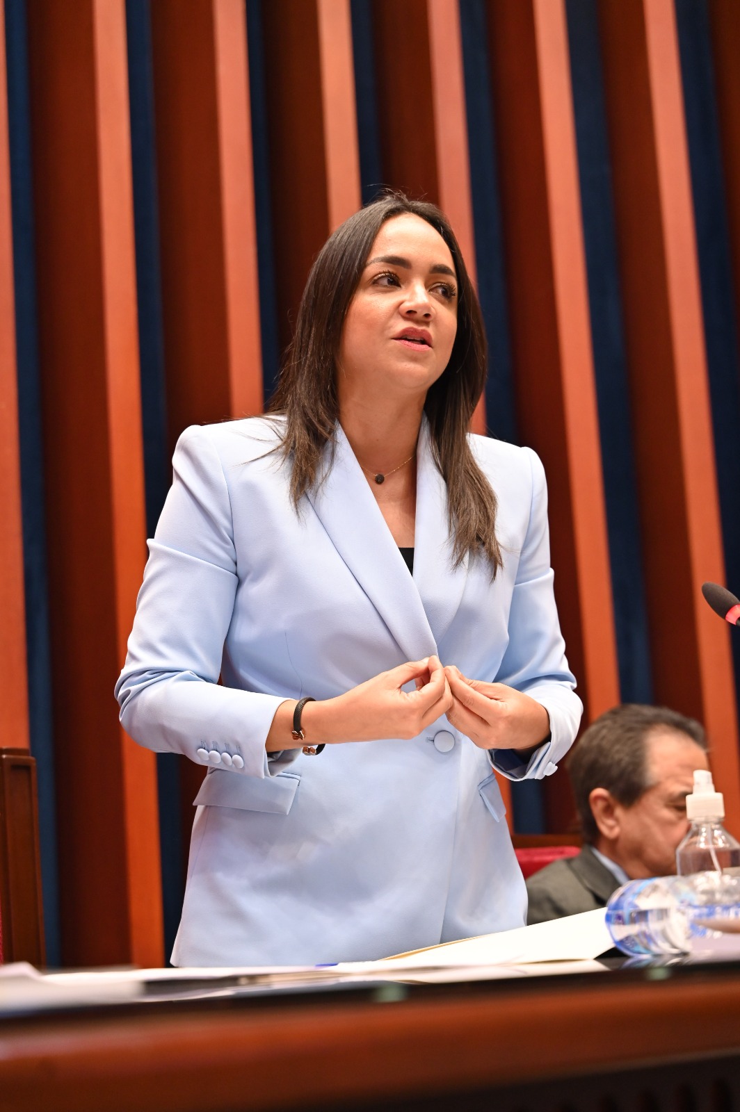Decreto: Faride Raful será la nueva ministra de Interior y Policía