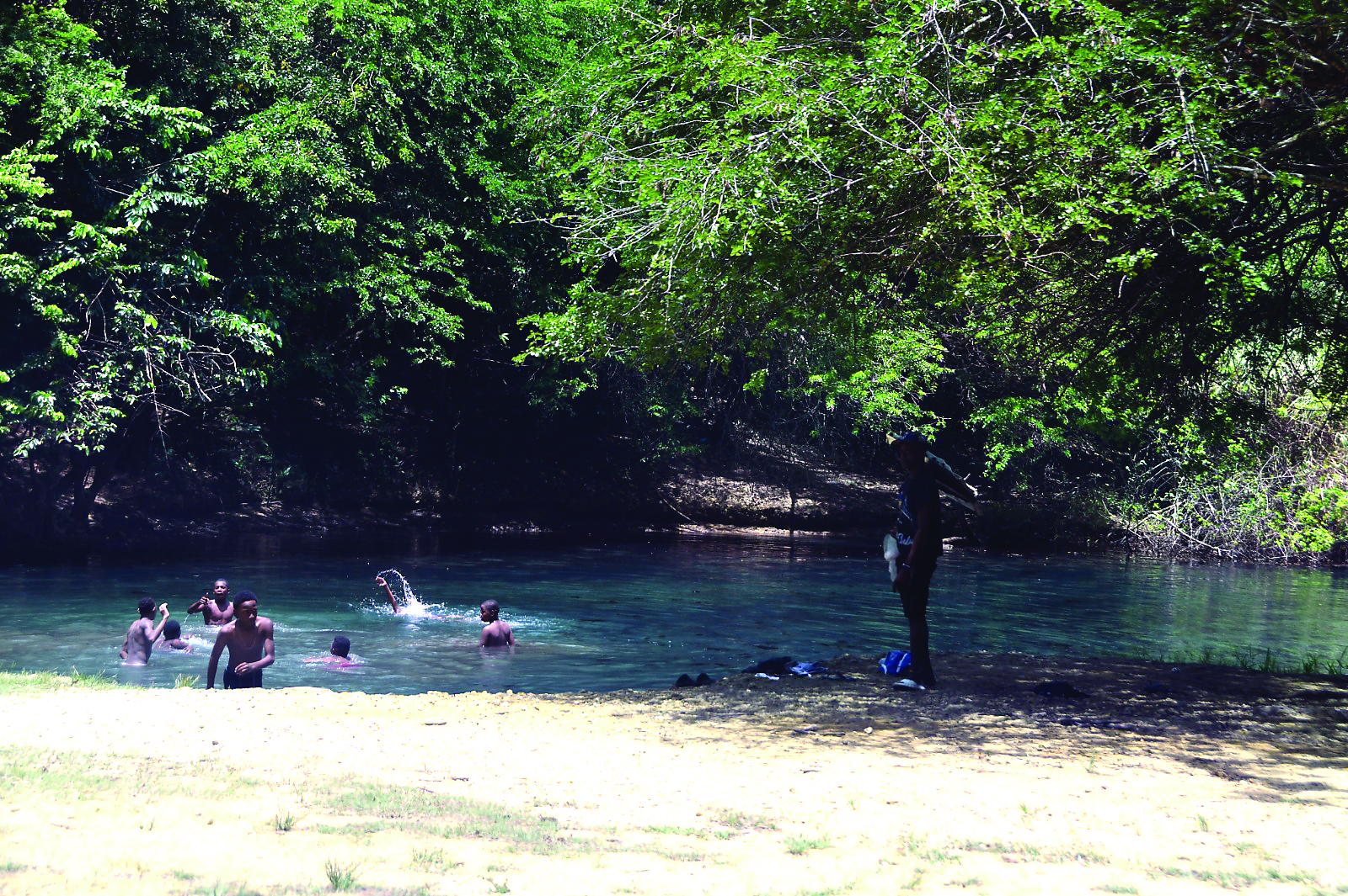 Parque Mirador Sur: Una naturaleza floreciente bajo un clima de seguridad