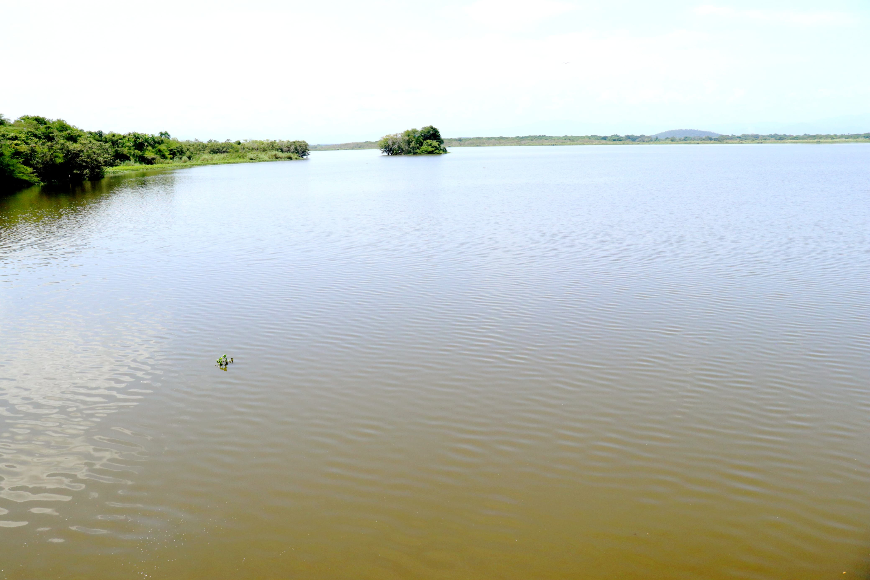 ¿Cómo es el pez diablo que mantiene en alerta a pescadores en Laguna de ...