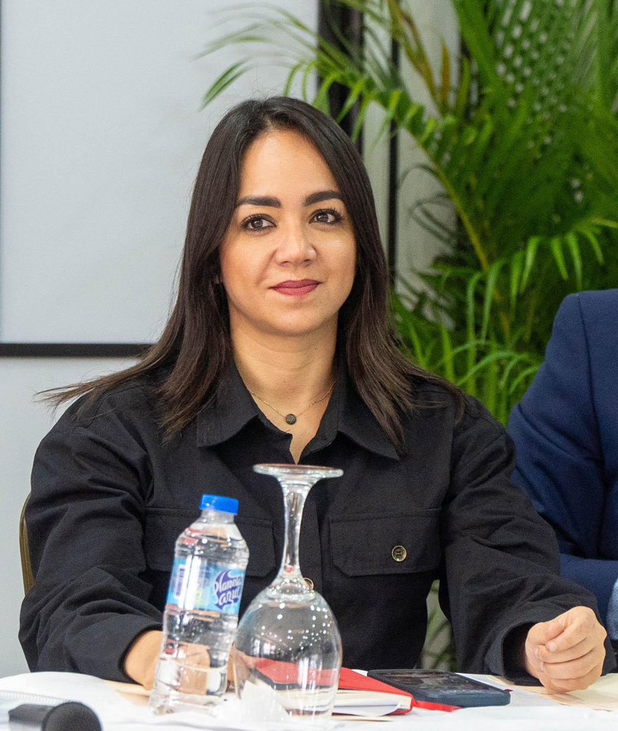 Faride Raful dice que ningún partido tiene más mujeres capacitadas que ...