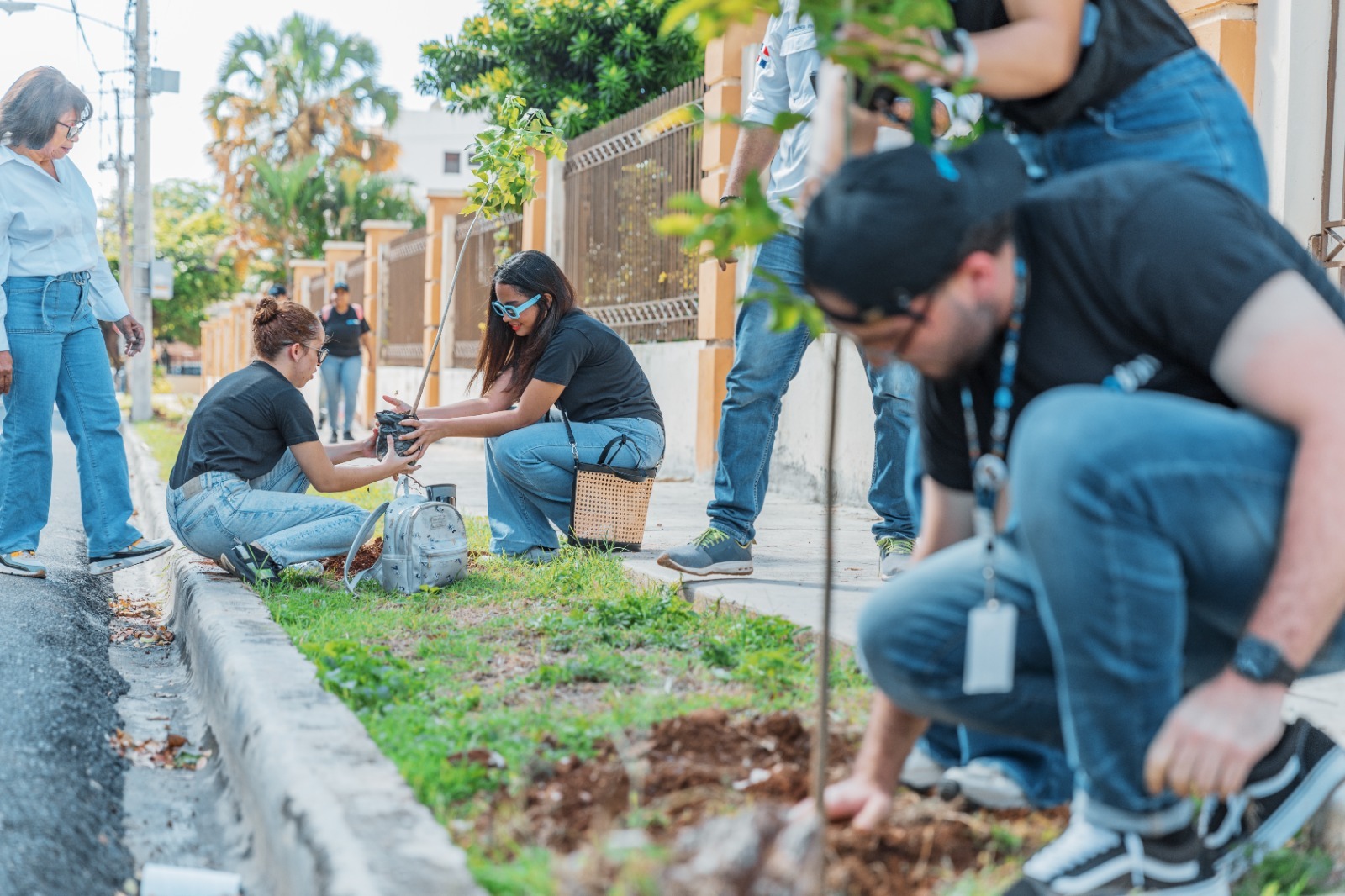 Alcaldía del DN desarrolla plan de arbolado urbano en la Zona Universitaria