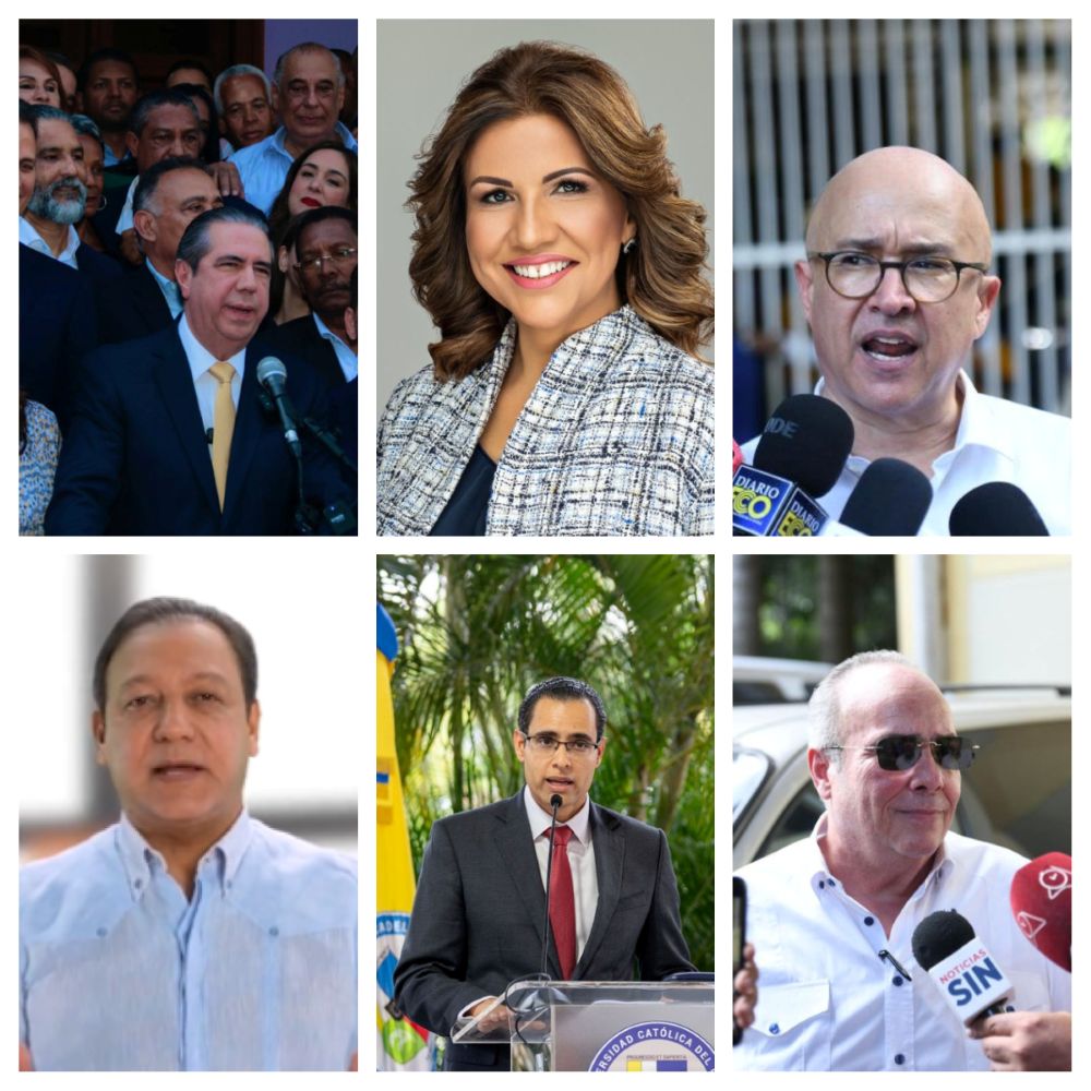 El PLD tiene identificado a sus “presidenciables”