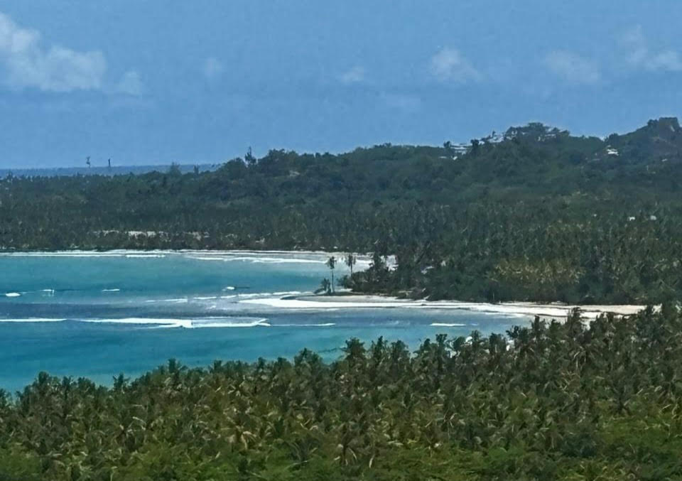 Hacia Las Terrenas: un trayecto donde vibra la naturaleza