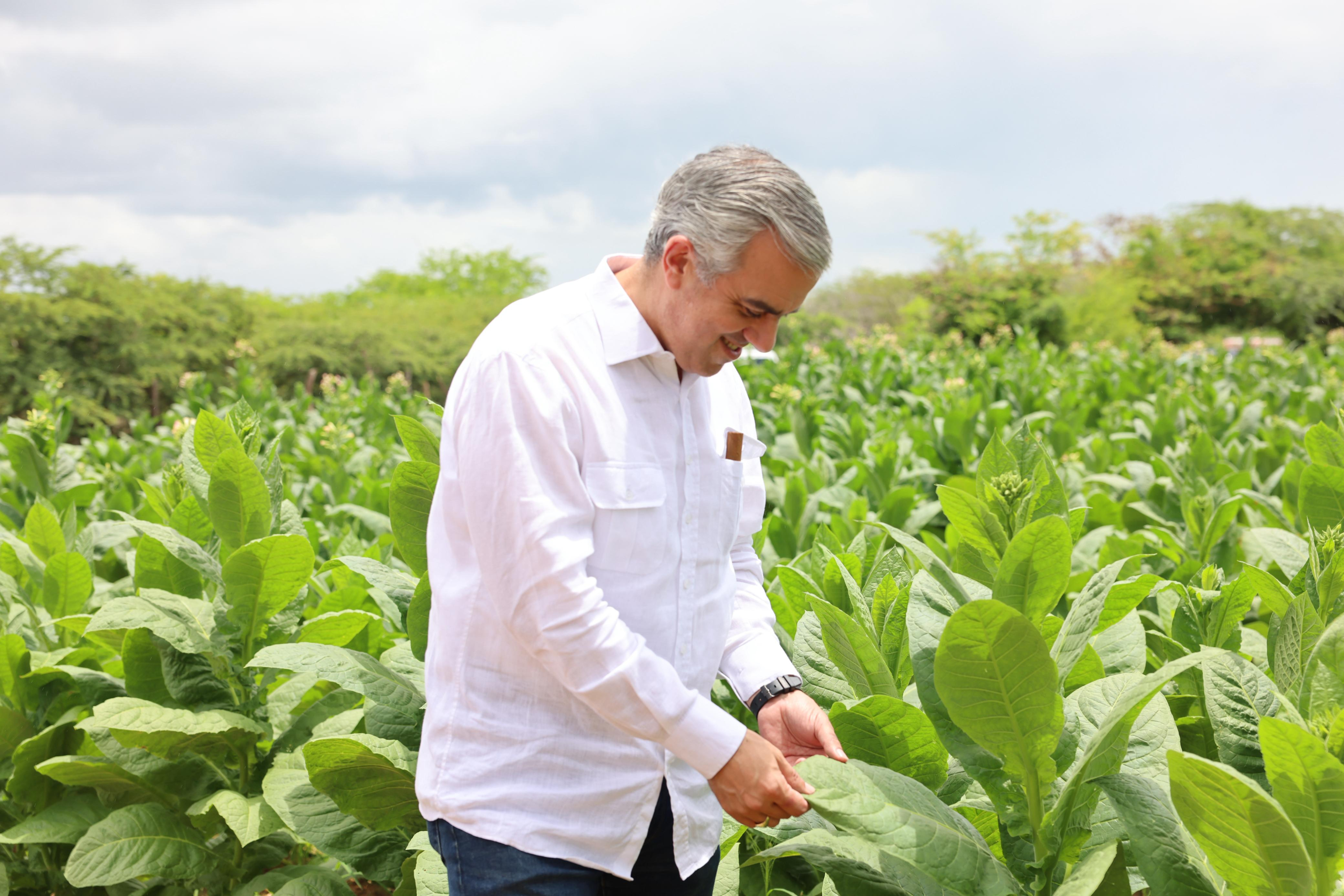 El tabaco dominicano es exportado a 148 países