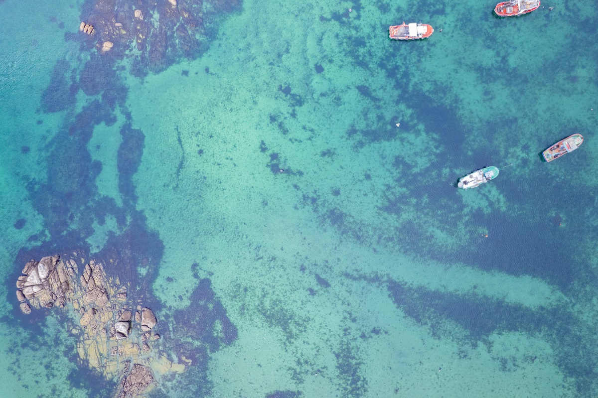 Miss cindy tran naked very pretty face/eyes/skin/lips to be