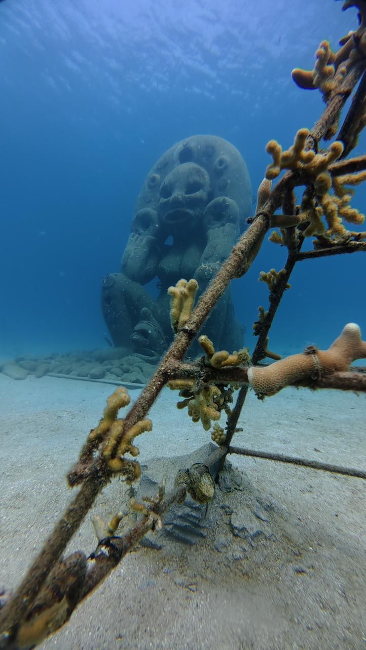 Escultura Atabey ha permitido sembrar más de 700 corales en Sosúa ...