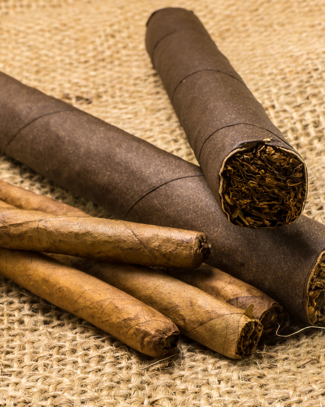 Cierre de operaciones de ZF Cigars Group en Baní y Bonao es temporal