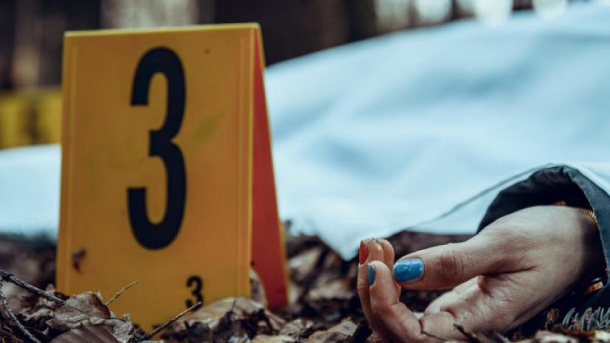 Tribunal de Ocoa envía a la cárcel a hombre imputado de matar ...