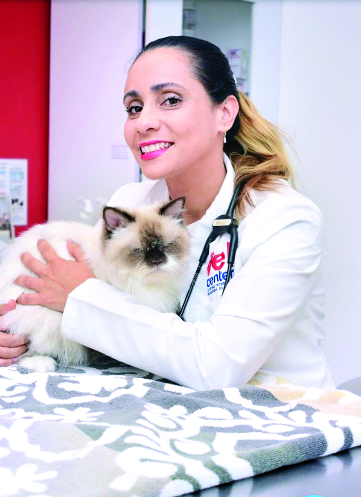 Sobrepoblación de animales callejeros en RD: la urgencia de esterilizar