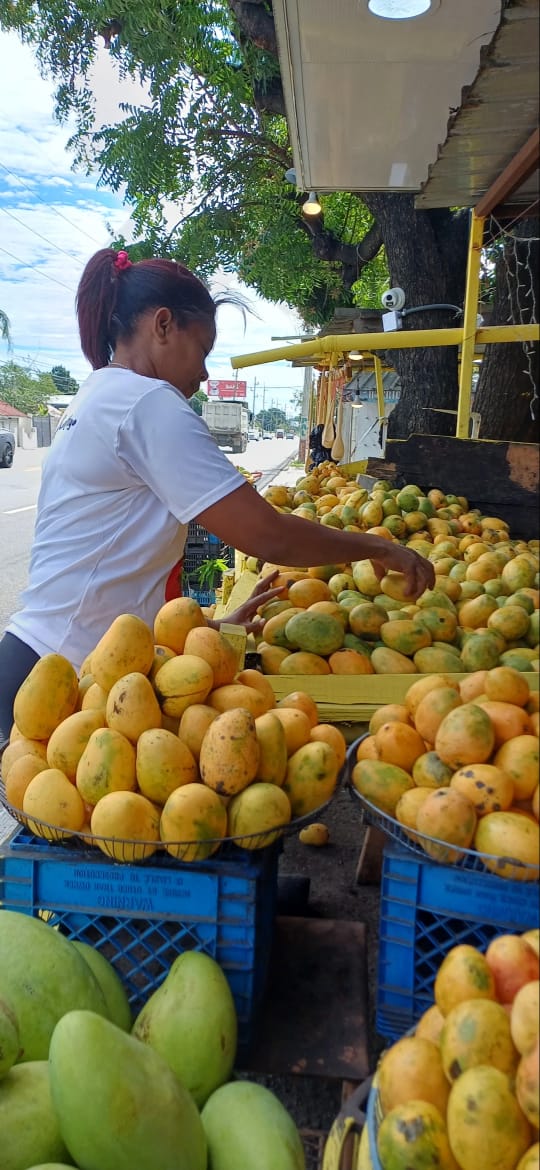 Inician hoy en Baní la tradicional Feria del Mango Banilejo